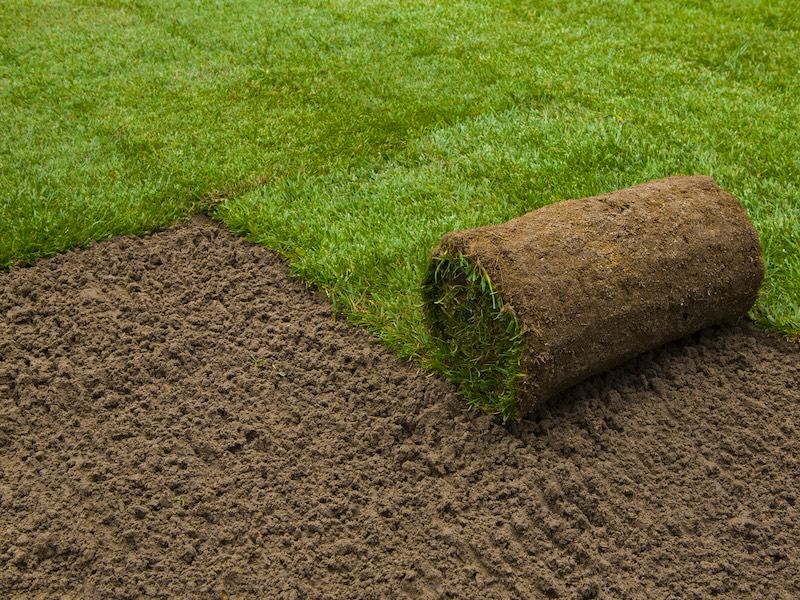 Sod Installation - Classic Lawn